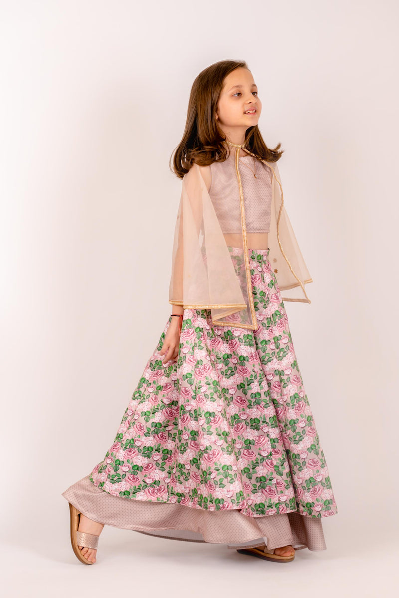 Mocha Brown Lehenga Kids – Pasha India